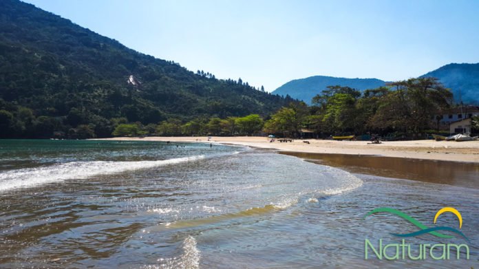 PEREQUÊ MIRIM Ubatuba SP Guia 2024 NATURAM