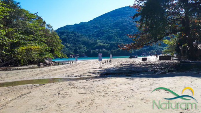 PEREQUÊ MIRIM Ubatuba SP Guia 2024 NATURAM