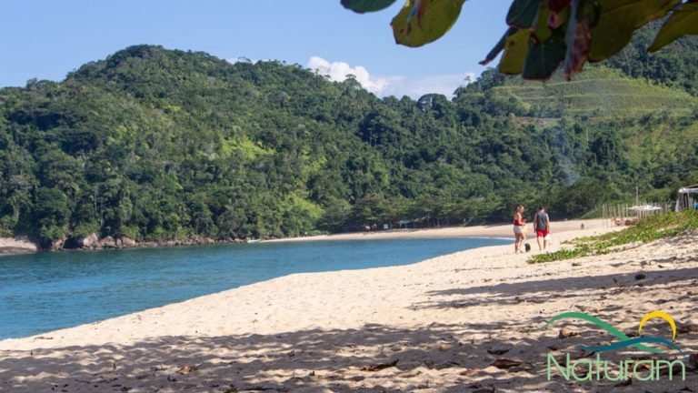 Praia do PRUMIRIM, UBATUBA | Guia Completo NATURAM