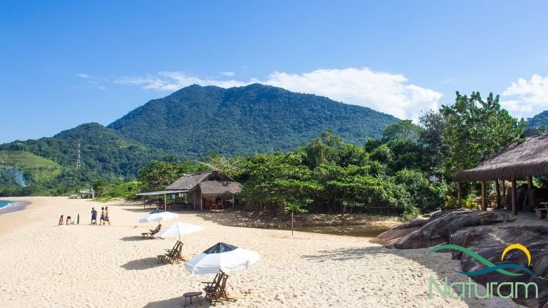 Praia do PRUMIRIM, UBATUBA | Guia Completo NATURAM