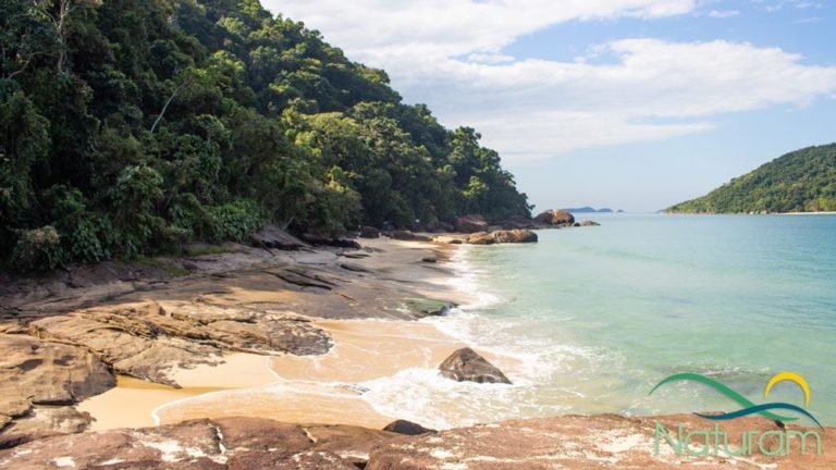 Praia do PRUMIRIM, UBATUBA | Guia Completo NATURAM