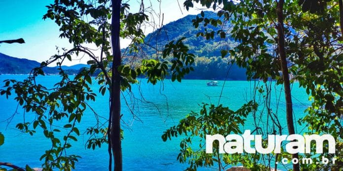 PEREQUÊ MIRIM Ubatuba SP Guia 2024 NATURAM