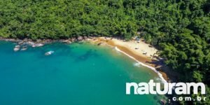 Praia do Cedro Ubatuba - Guia Completo Naturam
