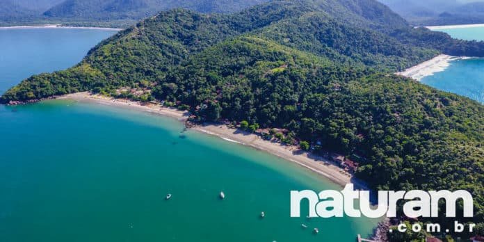 PRAIA DA ALMADA UBATUBA Guia atualizado 2024 NATURAM