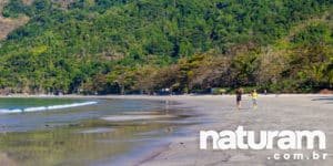 Praia da Fortaleza Ubatuba - Dicas de O QUE FAZER!!!