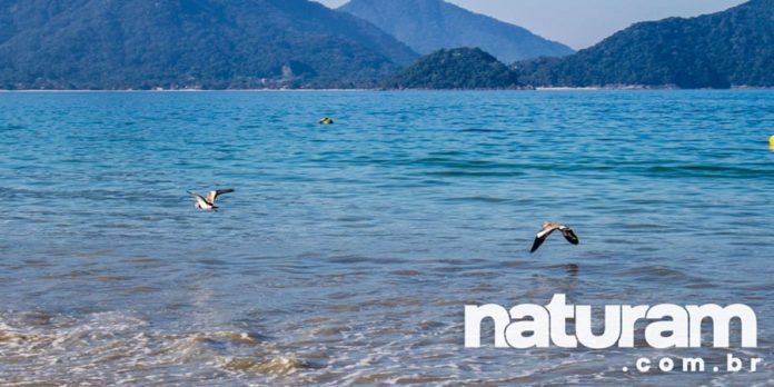 Praia da Fortaleza Ubatuba - Dicas de O QUE FAZER!!!