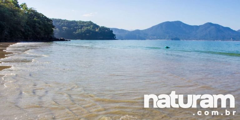 Praia da Fortaleza Ubatuba - Dicas de O QUE FAZER!!!
