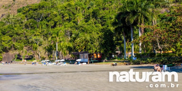 Praia da Fortaleza Ubatuba - Dicas de O QUE FAZER!!!