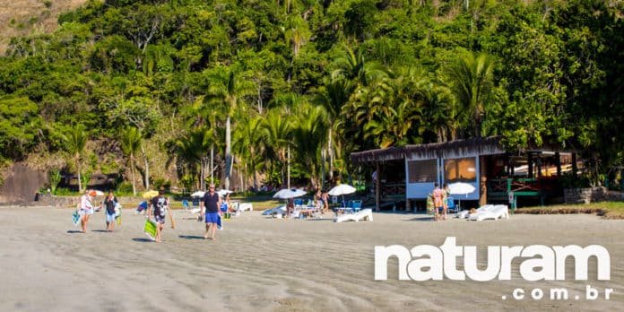 Praia da Fortaleza Ubatuba - Dicas de O QUE FAZER!!!