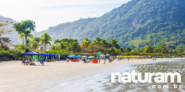 Praia da Lagoinha Ubatuba Guia Atualizado 2025