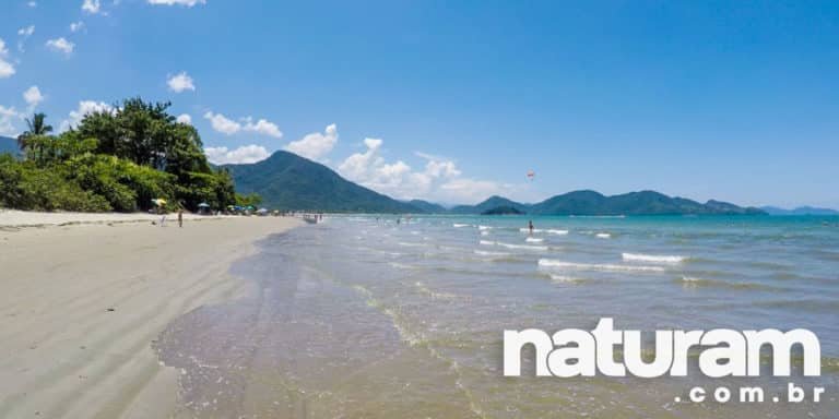 MARANDUBA, UBATUBA Guia Turístico da praia 2021 NATURAM