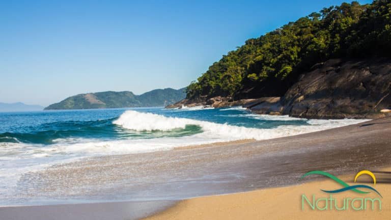 Praia da Sununga Ubatuba 2024 Dicas e Pousadas NATURAM
