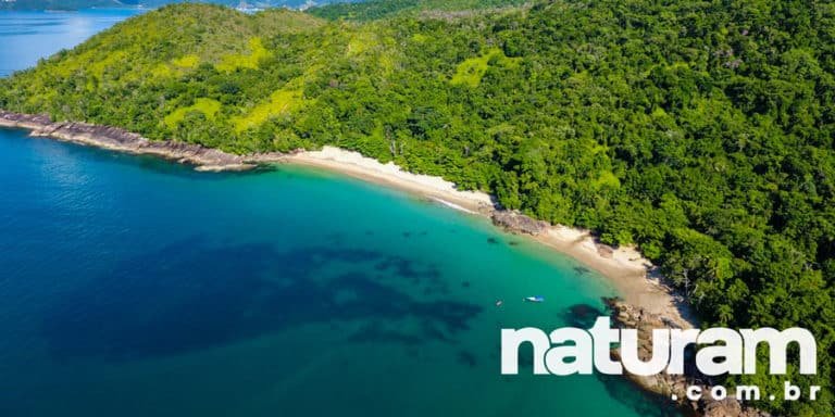 PARADISÍACA Praia do Cedro do Sul Ubatuba - CONHEÇA!
