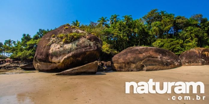 PRAIA do FÉLIX Ubatuba - Guia 2023 Completo NATURAM