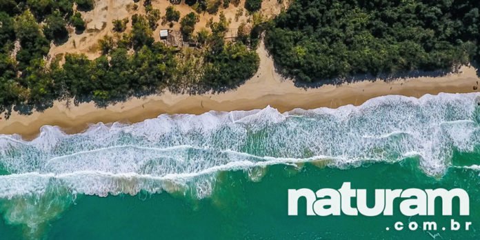 PRAIA do FÉLIX Ubatuba - Guia 2024 Completo NATURAM