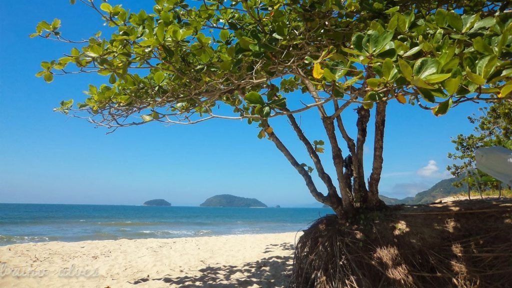 Praia do Puruba Ubatuba - O QUE FAZER e Fotos - Naturam