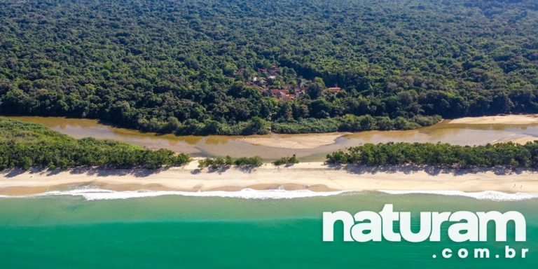 Praia do Puruba Ubatuba - O QUE FAZER e Fotos - Naturam