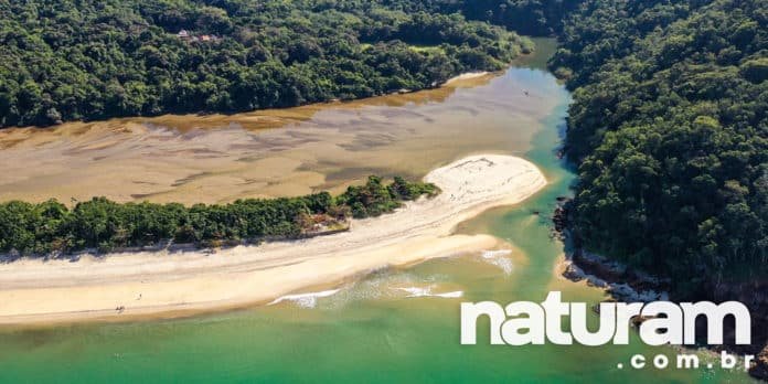Praia do Puruba Ubatuba - O QUE FAZER e Fotos - Naturam