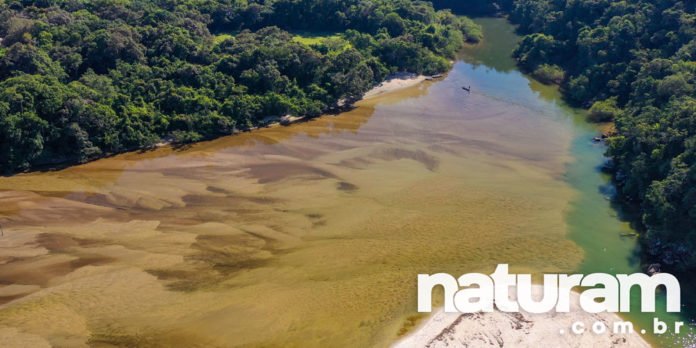 Praia do Puruba Ubatuba - O QUE FAZER e Fotos - Naturam