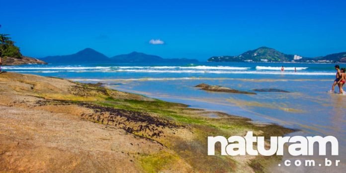 Praia do Tenório Ubatuba: Pousadas e o que fazer em 2025