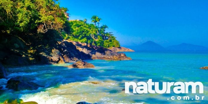 Praia do Tenório Ubatuba: Pousadas e o que fazer em 2025