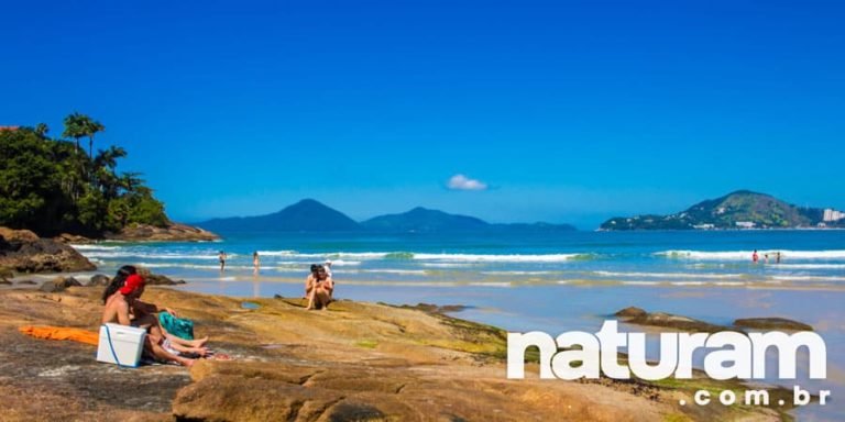 Praia do Tenório Ubatuba Guia 2024 NATURAM