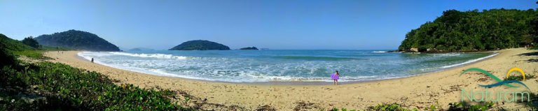 Praia do Prumirim Ubatuba Guia 2024 Naturam