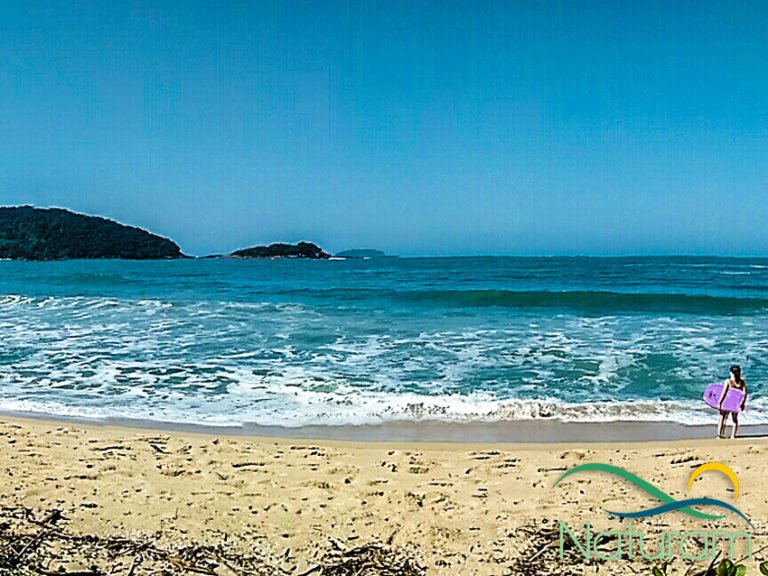 Praia do Prumirim Ubatuba Guia 2024 Naturam