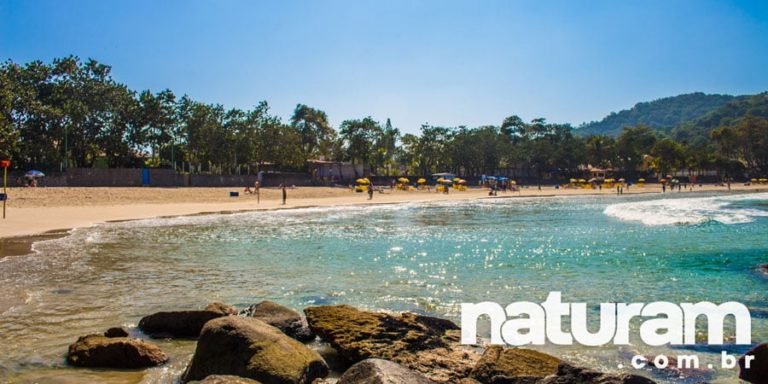 Praia do Tenório Ubatuba: Pousadas e o que fazer em 2025