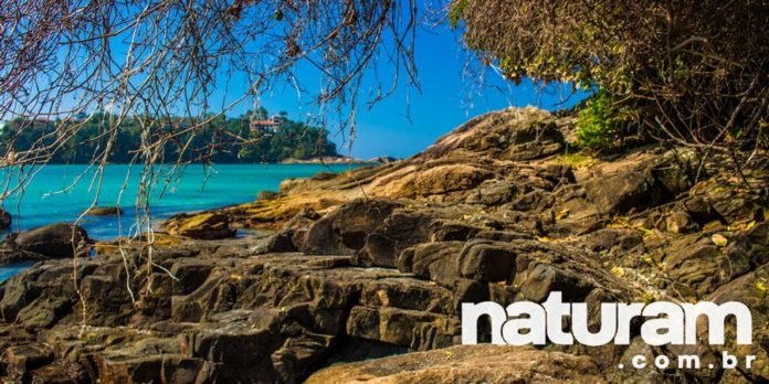 Praia do Tenório Ubatuba: Pousadas e o que fazer em 2025