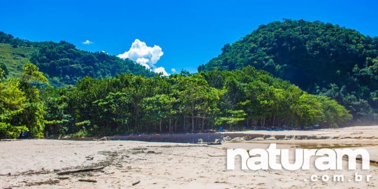 PRAIA do FÉLIX Ubatuba - Guia Completo 2020 NATURAM
