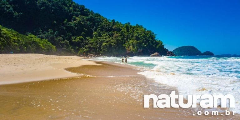 PRAIA do FÉLIX Ubatuba - Guia Completo 2020 NATURAM