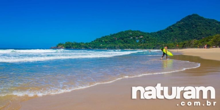 PRAIA do FÉLIX Ubatuba - Guia Completo 2020 NATURAM