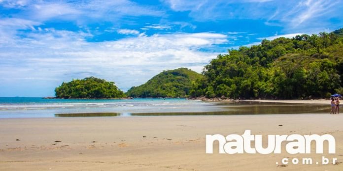 Praia do UBATUMIRIM, UBATUBA - Guia Completo NATURAM
