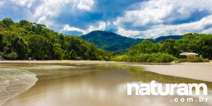 Praia do UBATUMIRIM UBATUBA - Guia Completo NATURAM
