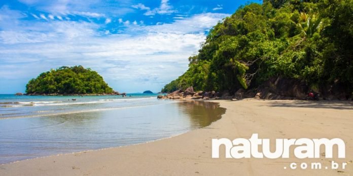 Praia do UBATUMIRIM UBATUBA - Guia Completo NATURAM