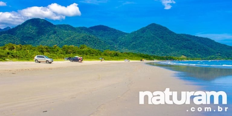 Praia do UBATUMIRIM, UBATUBA - Guia Completo NATURAM