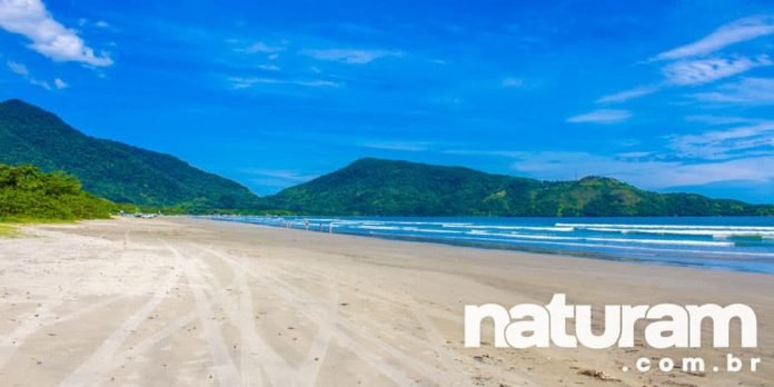 Praia do UBATUMIRIM UBATUBA - Guia Completo NATURAM