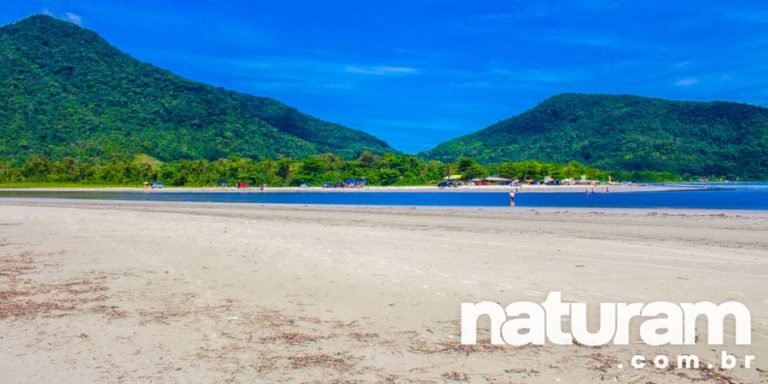 Praia do UBATUMIRIM UBATUBA - Guia Completo NATURAM