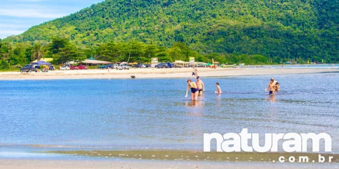 Praia do UBATUMIRIM, UBATUBA - Guia Completo NATURAM