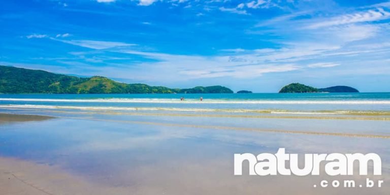 Praia do UBATUMIRIM UBATUBA - Guia Completo NATURAM