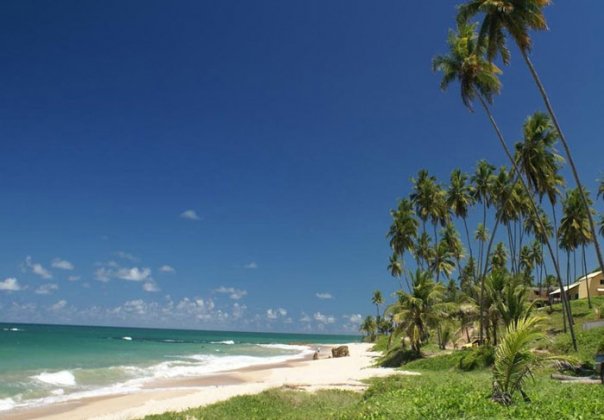 CANANÉIA SP Guia Completo 2023 com dicas NATURAM