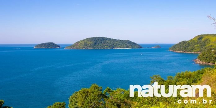ILHA DO PRUMIRIM Ubatuba, um lugar incrível! NATURAM