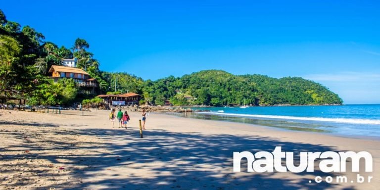 PRAIA DA ALMADA UBATUBA Guia atualizado 2024 NATURAM