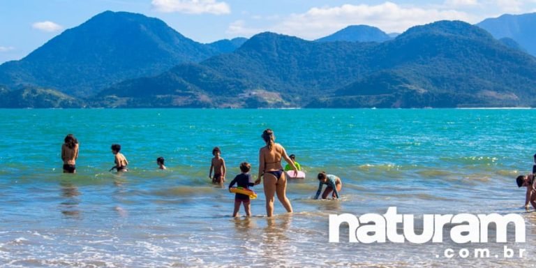 PRAIA DA ALMADA UBATUBA Guia atualizado 2024 NATURAM