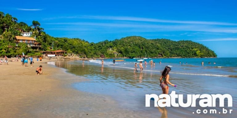PRAIA DA ALMADA UBATUBA Guia atualizado 2024 NATURAM
