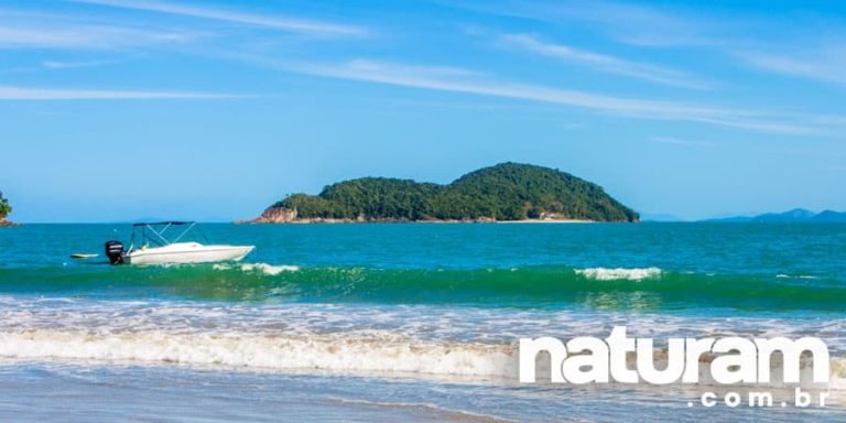 PRAIA DA ALMADA UBATUBA Guia atualizado 2024 NATURAM