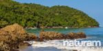 PRAIA DA ALMADA UBATUBA Guia atualizado 2024 NATURAM