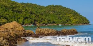 PRAIA DA ALMADA UBATUBA Guia atualizado 2024 NATURAM