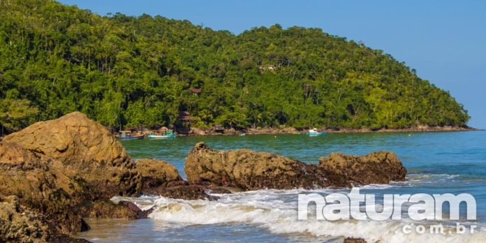 PRAIA DA ALMADA UBATUBA Guia atualizado 2024 NATURAM